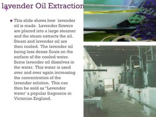 Separation techniques by_dr._sana_mustafa | PPT