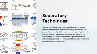 separatory techniques.pptx to separate mc | PPT