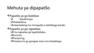 Sepedi presentation papatšo mphato wa lesome | PPTX