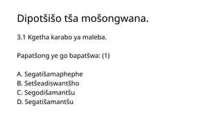 Sepedi presentation papatšo mphato wa lesome | PPTX