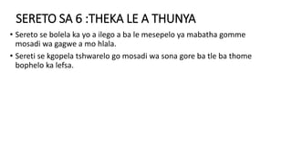 This is Sepedi HL P2 Notes for all Grade, From Grade 10 to matrix | PDF