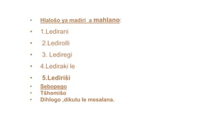 Sepedi Leleme La Gae (Northern Sesotho /Sesotho sa Leboa) | PPTX