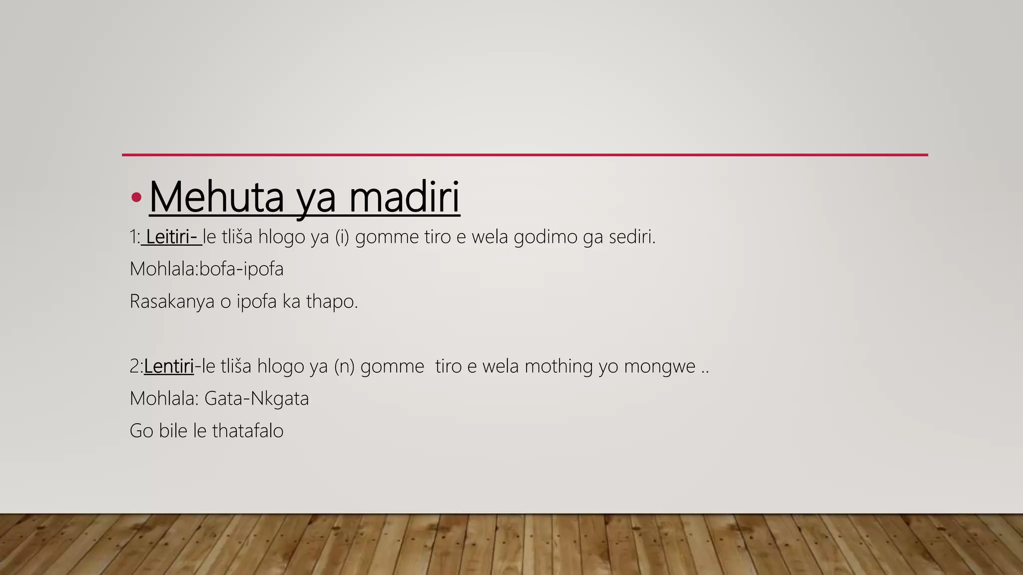 SEPEDI LESSON PRESENTATION GRADE 10.pptx