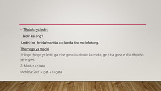 SEPEDI LESSON PRESENTATION GRADE 10.pptx