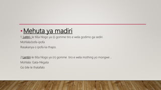 SEPEDI LESSON PRESENTATION GRADE 10.pptx