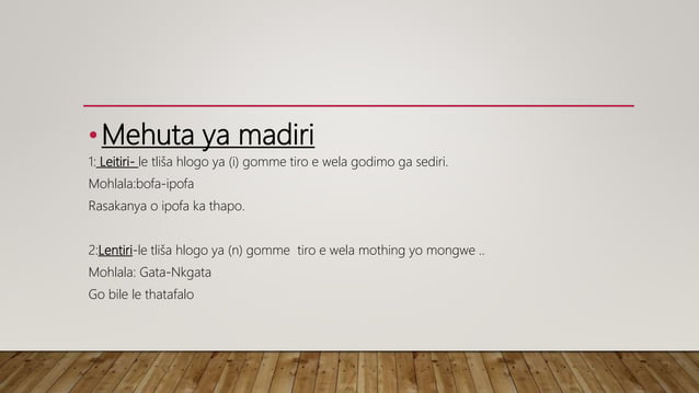 SEPEDI LESSON PRESENTATION GRADE 10.pptx