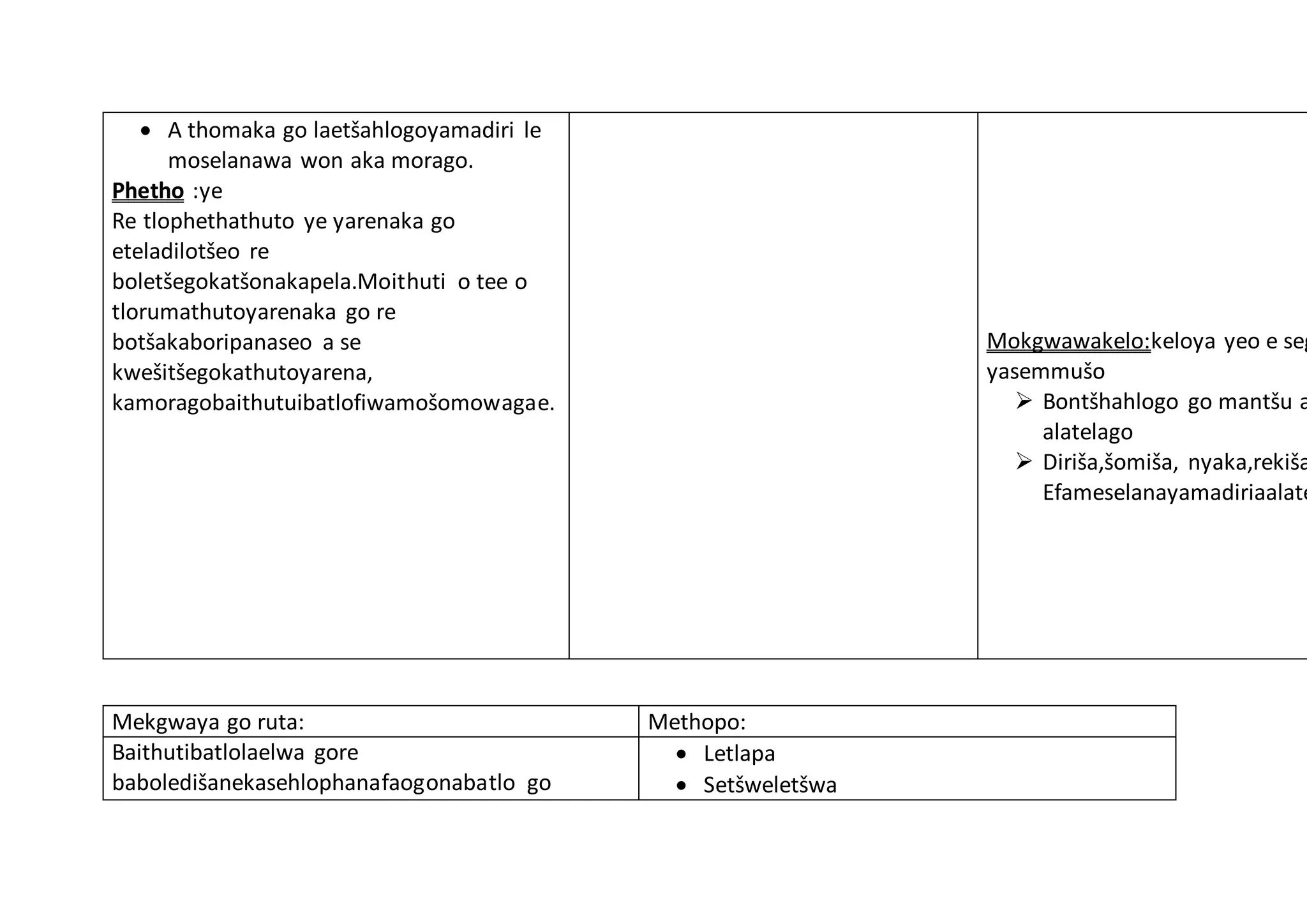 Sepedi methodmicro lesson | DOCX