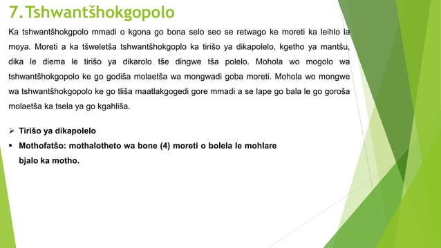 Sepedi methodology _prsentation_theto | PPTX
