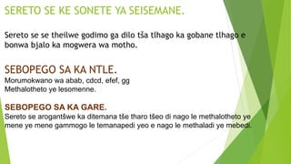 Sepedi methodology _prsentation_theto | PPTX