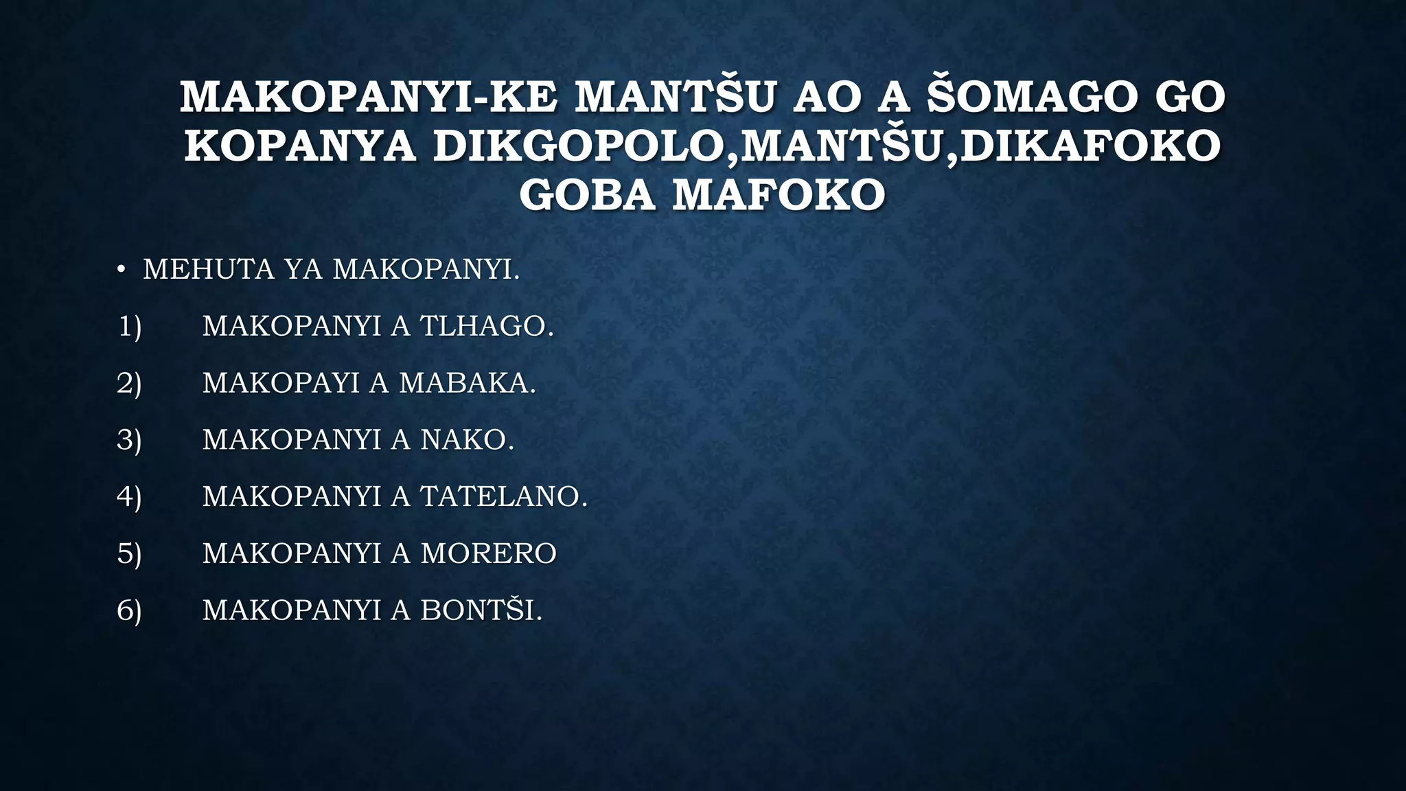 SEPEDI MICRO LESSON PRESENTATION.pptx