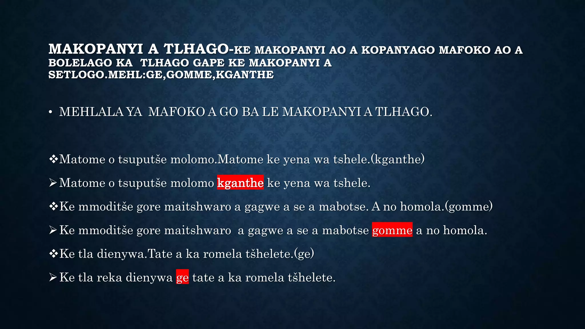 SEPEDI MICRO LESSON PRESENTATION.pptx