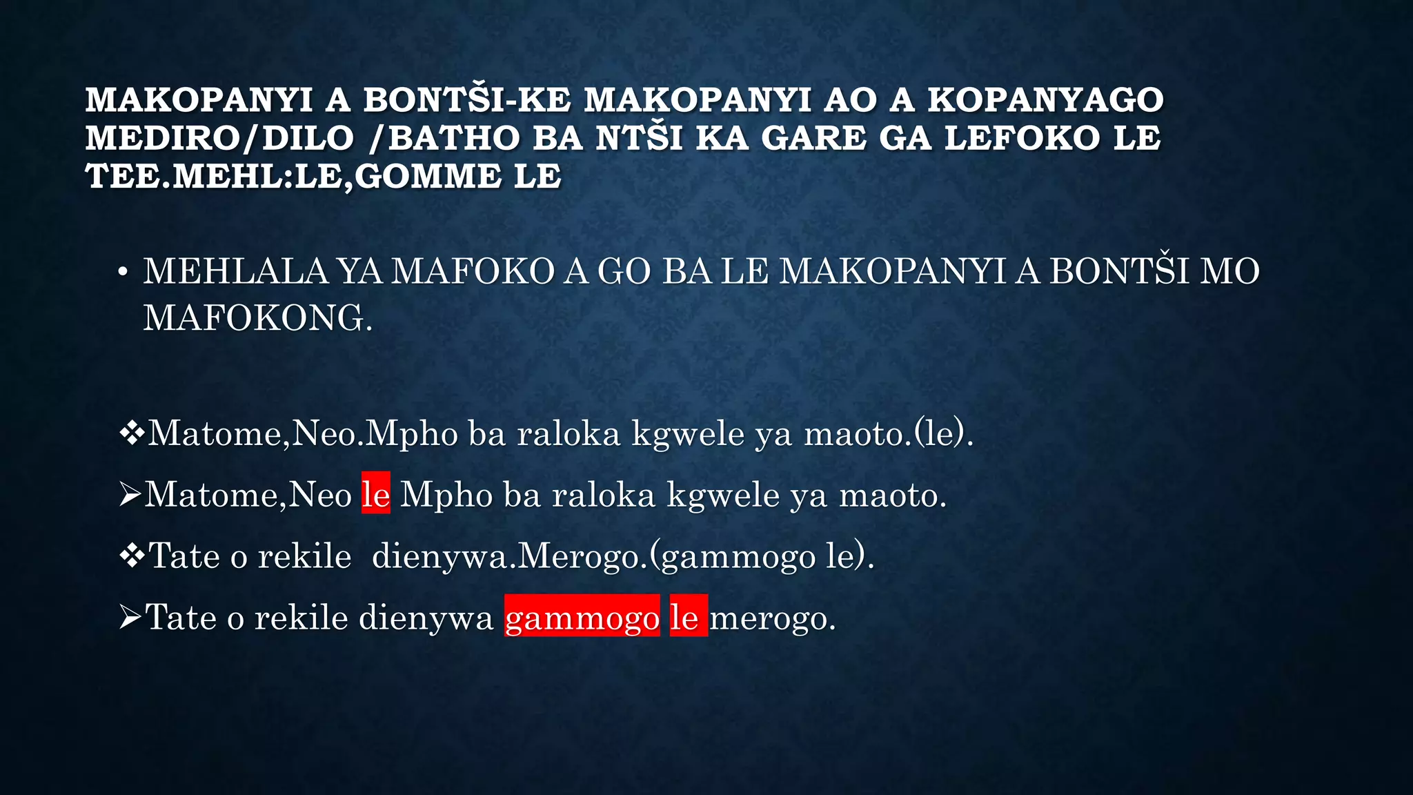 SEPEDI MICRO LESSON PRESENTATION.pptx