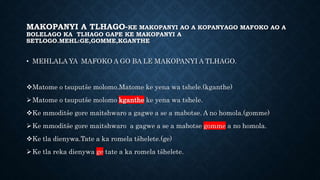 SEPEDI MICRO LESSON PRESENTATION.pptx