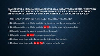 SEPEDI MICRO LESSON PRESENTATION.pptx