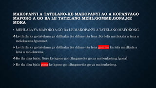 SEPEDI MICRO LESSON PRESENTATION.pptx