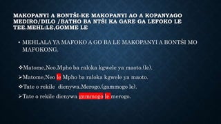 SEPEDI MICRO LESSON PRESENTATION.pptx