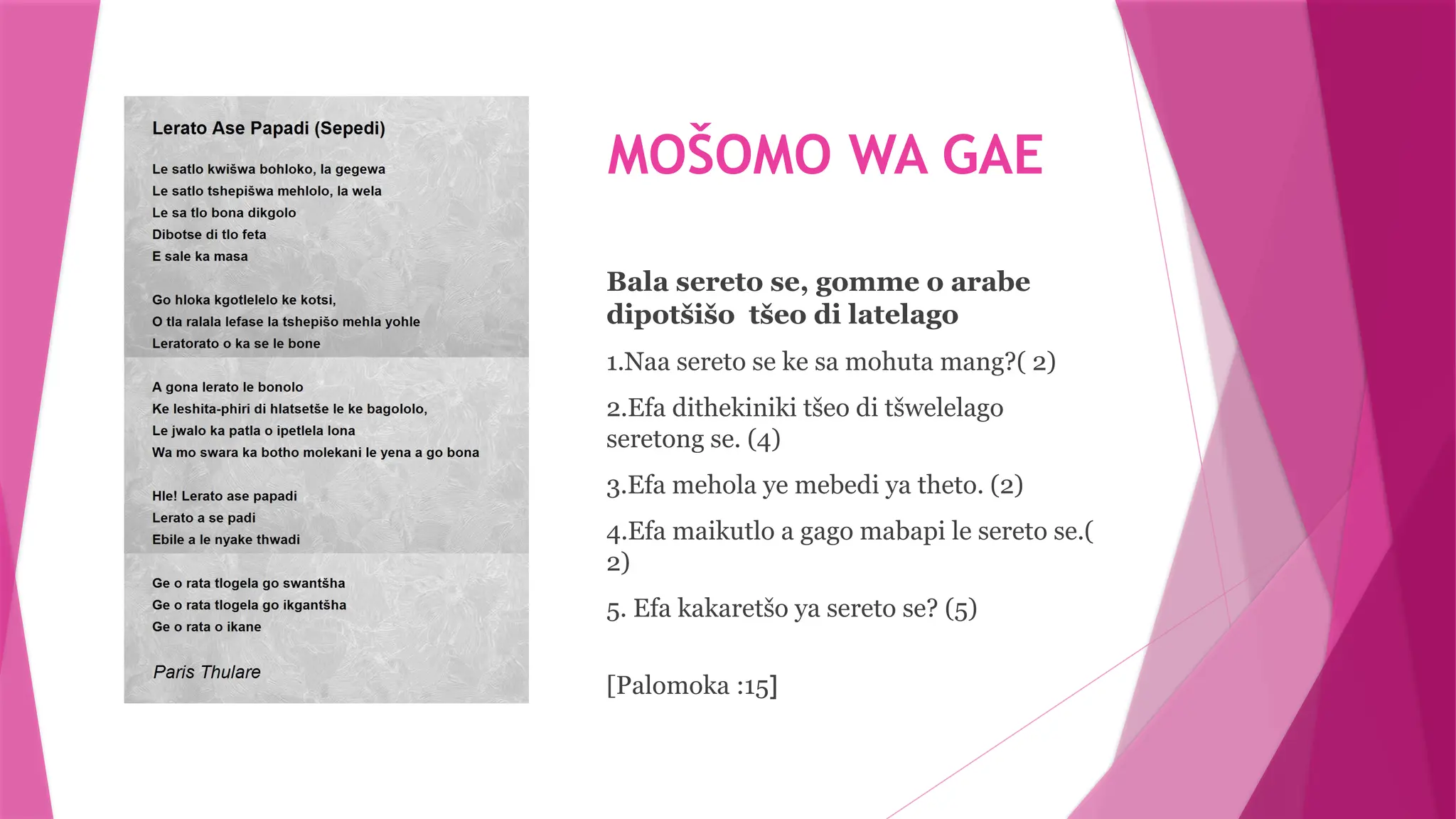 SEPEDI THETO P0WERPOINT PRESENTATION.pptx