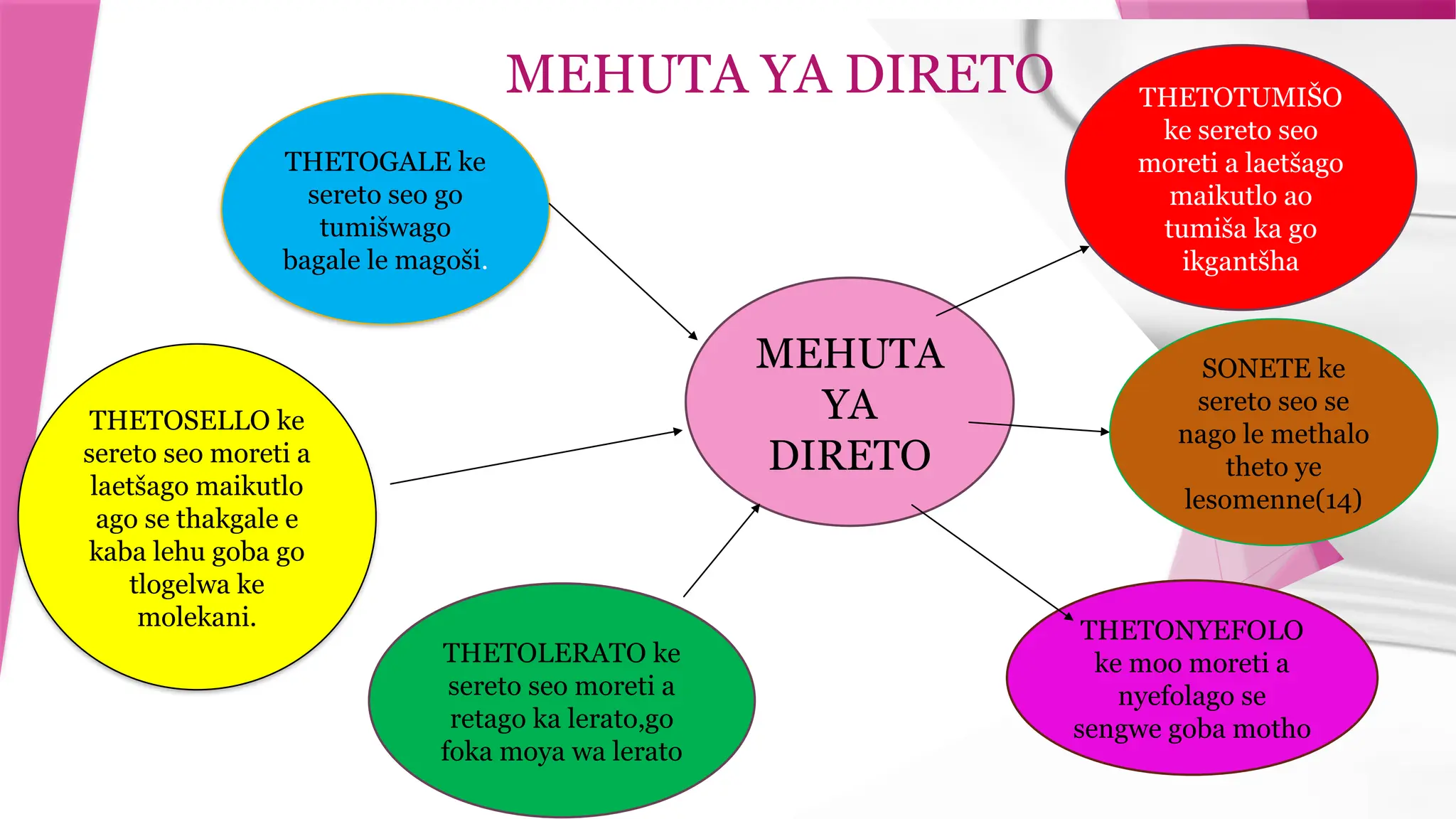 SEPEDI THETO P0WERPOINT PRESENTATION.pptx