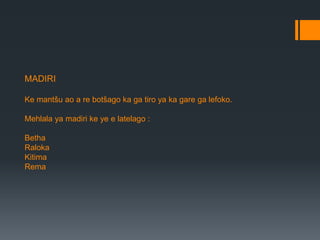 SEPEDI Presentation.pptx