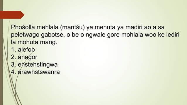 sepedi presentation 2.pptx