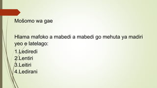 sepedi presentation 2.pptx