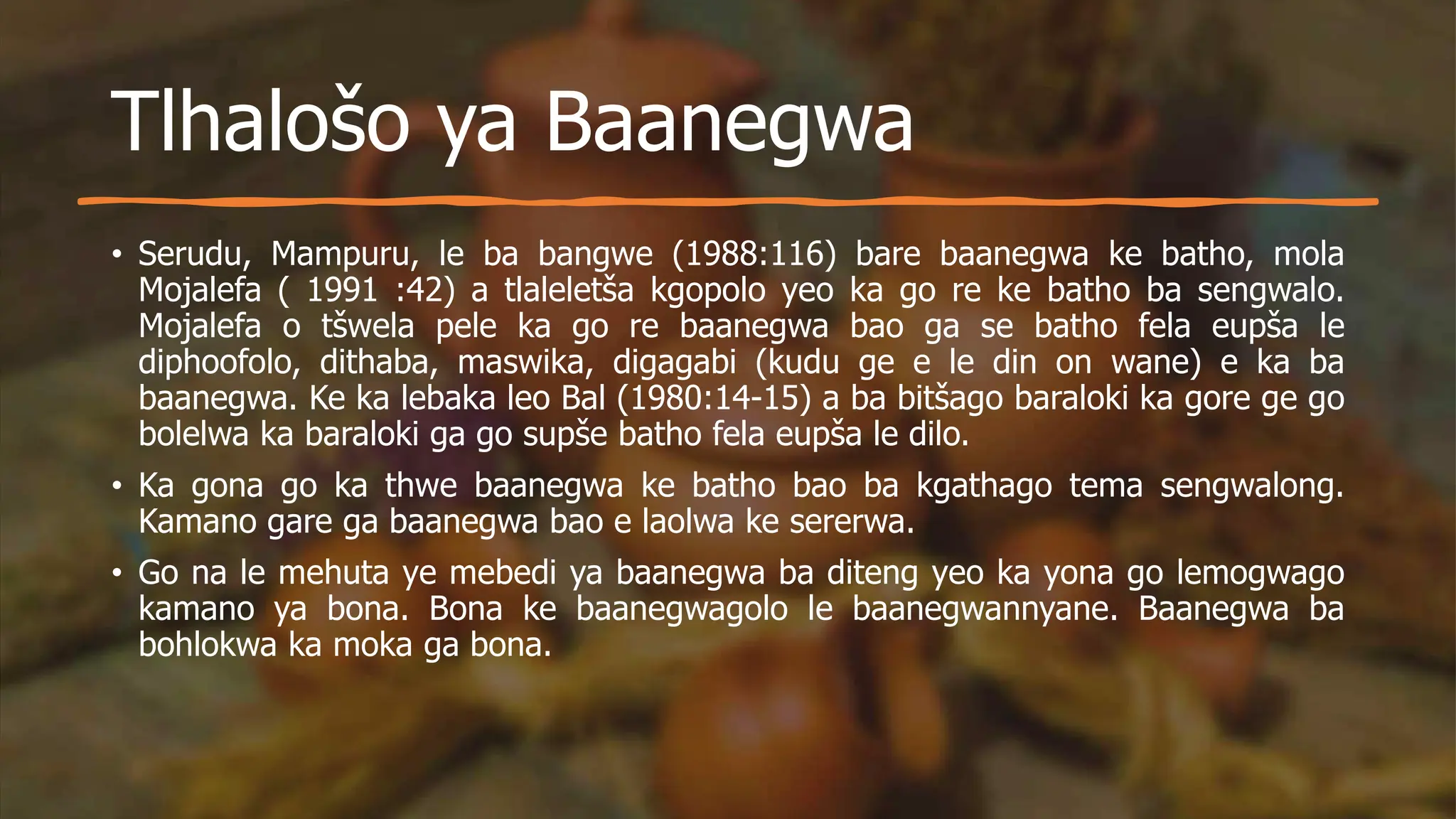 SEPEDI PRESENTATION (2)final.pptx