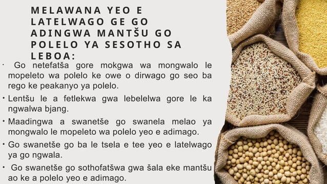 sepedi presentation 3A.pptx Tlhalošo ya maadingwa | PPTX