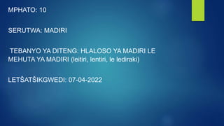 SEPEDI PRESENTATION MADIRI.pptx