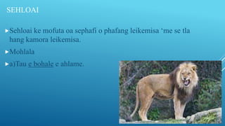 SEPHAFI.pptx