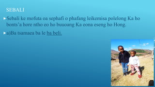 SEPHAFI.pptx