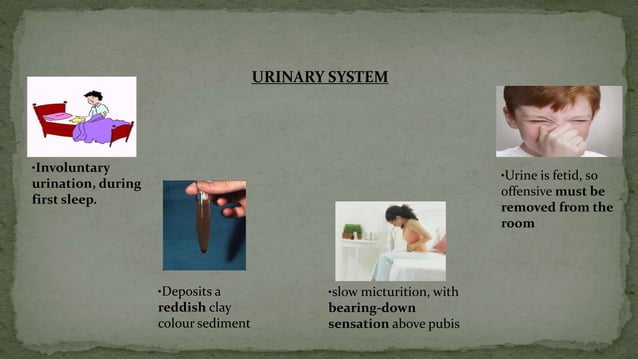 Sepia | PPTX | Pregnancy | Reproductive Health