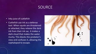 Sepia officinalis - Homoeopathic view & Pharmacological action | PPTX