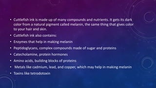 Sepia officinalis - Homoeopathic view & Pharmacological action | PPTX
