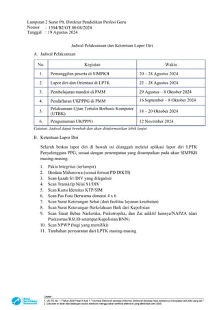 SE _ PILOTING _ PPG T_ AHAP _2_ 2024.pdf