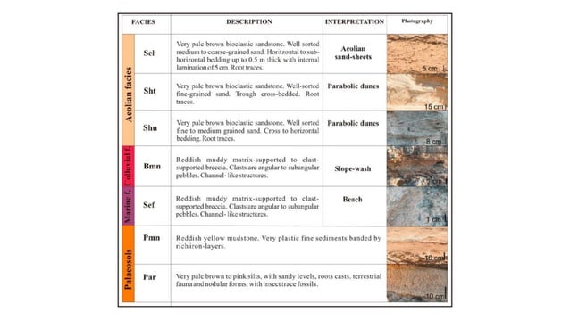 SEPM STRATA.pptx | Geology | Science