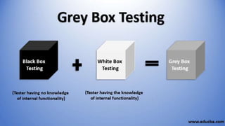 SE PRESENTATION (1).pptx