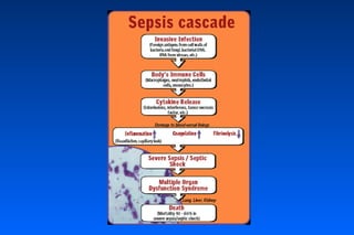 Sepsis Cascade