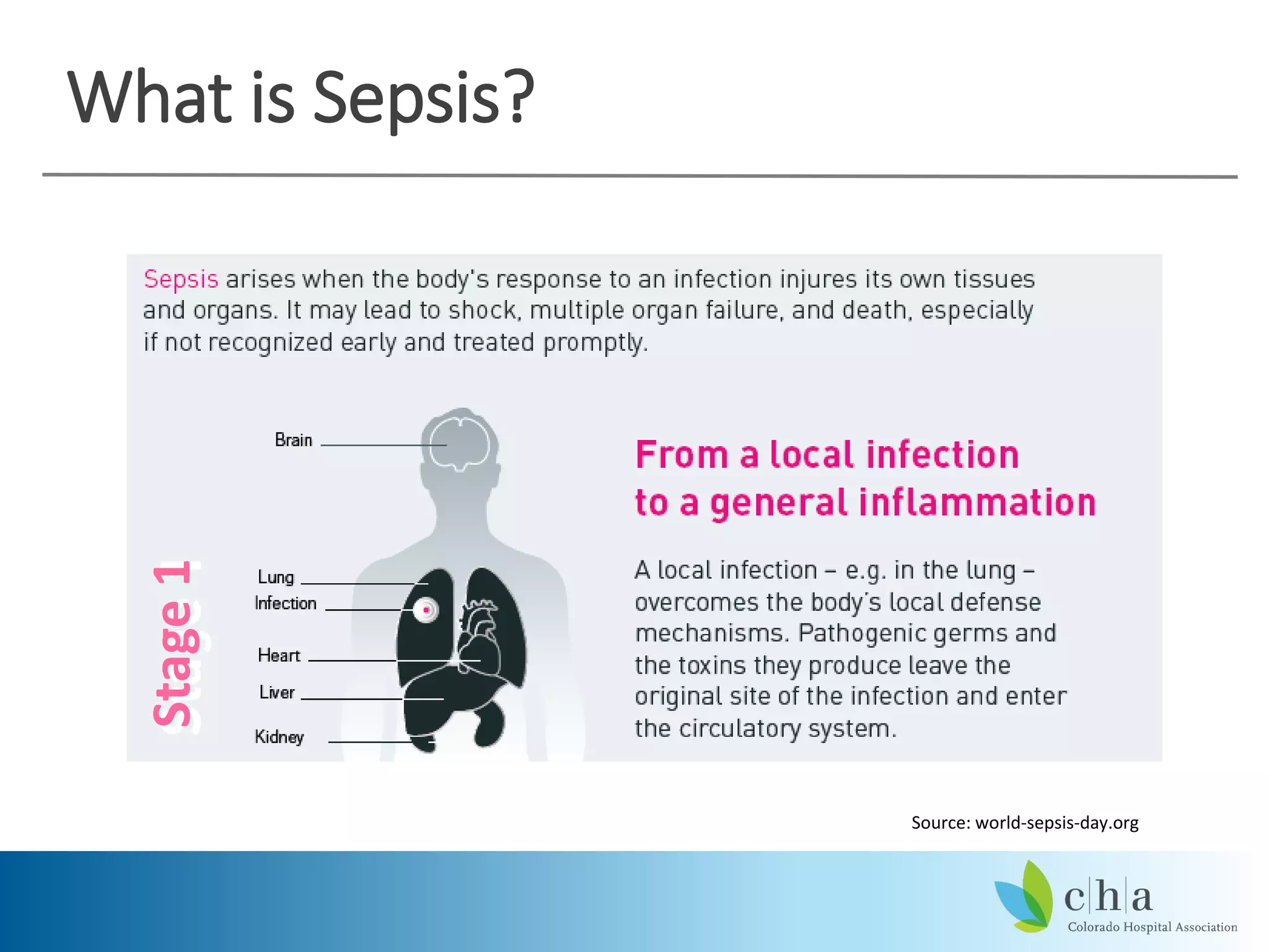 Sepsis-101.pptx | First Aid | Injuries