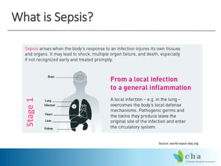 Sepsis-101.pptx | First Aid | Injuries