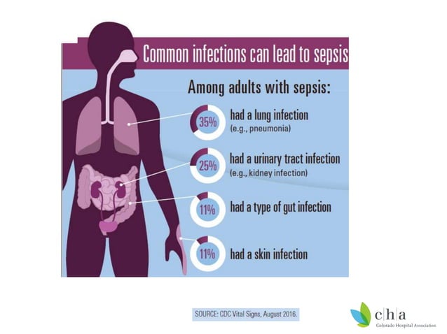 Sepsis-101.pptx | First Aid | Injuries