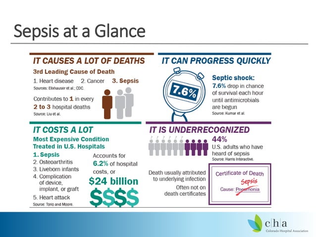 Sepsis-101.pptx | First Aid | Injuries