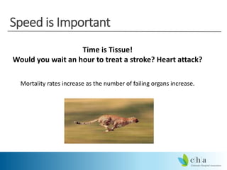 Sepsis-101.pptx
