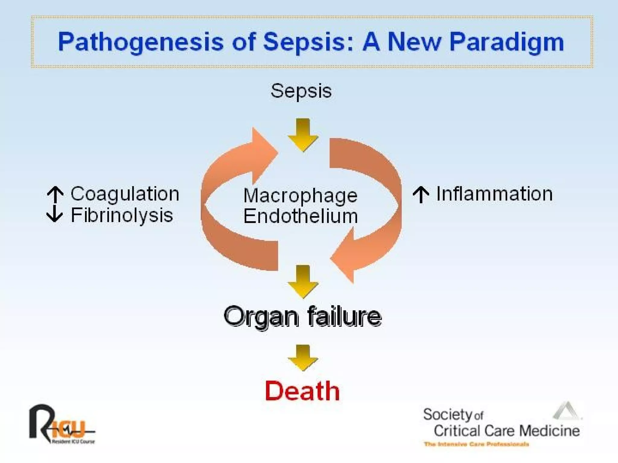 Sepsis | PPT