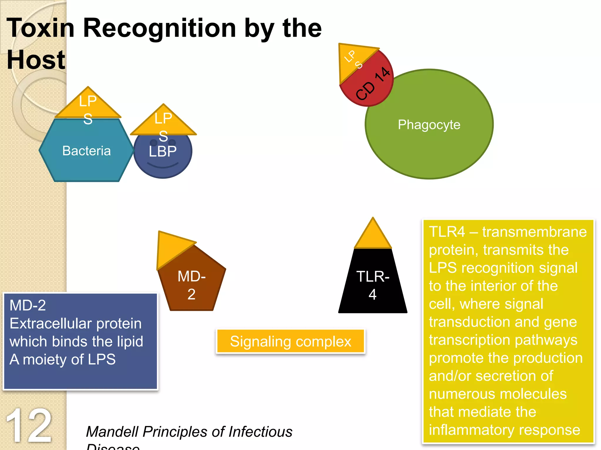 Sepsis | PPTX