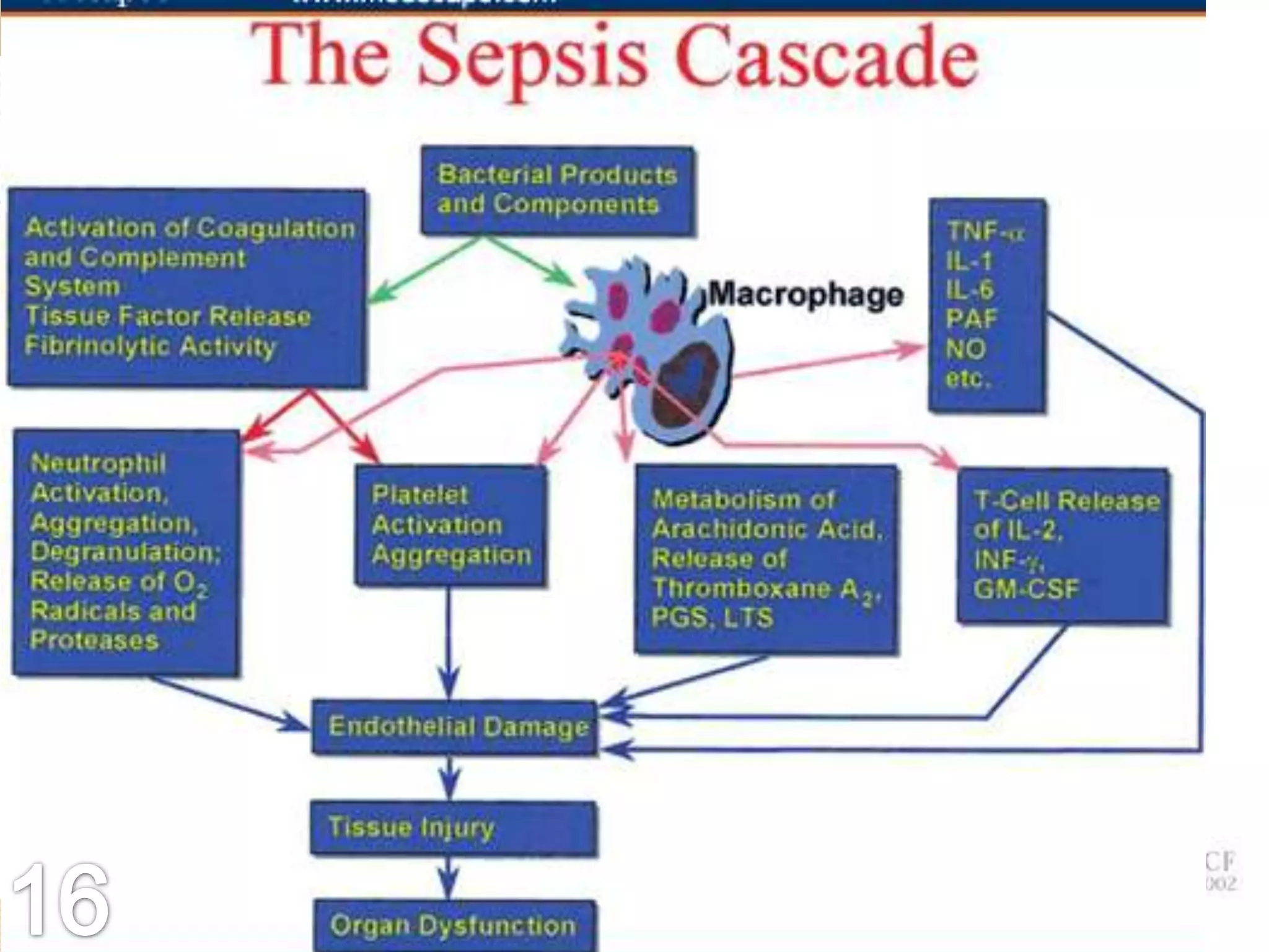 Sepsis | PPTX