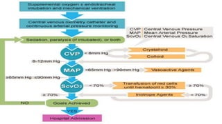 Sepsis | PPTX
