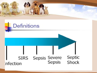 Sepsis | PPTX