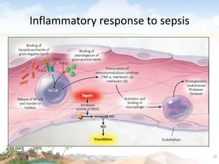 Sepsis | PPTX