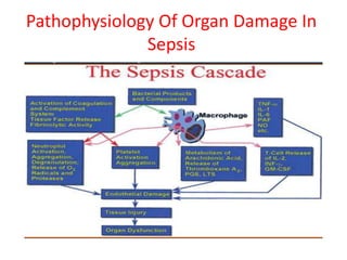 Sepsis | PPTX