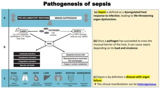 Sepsis | PPTX